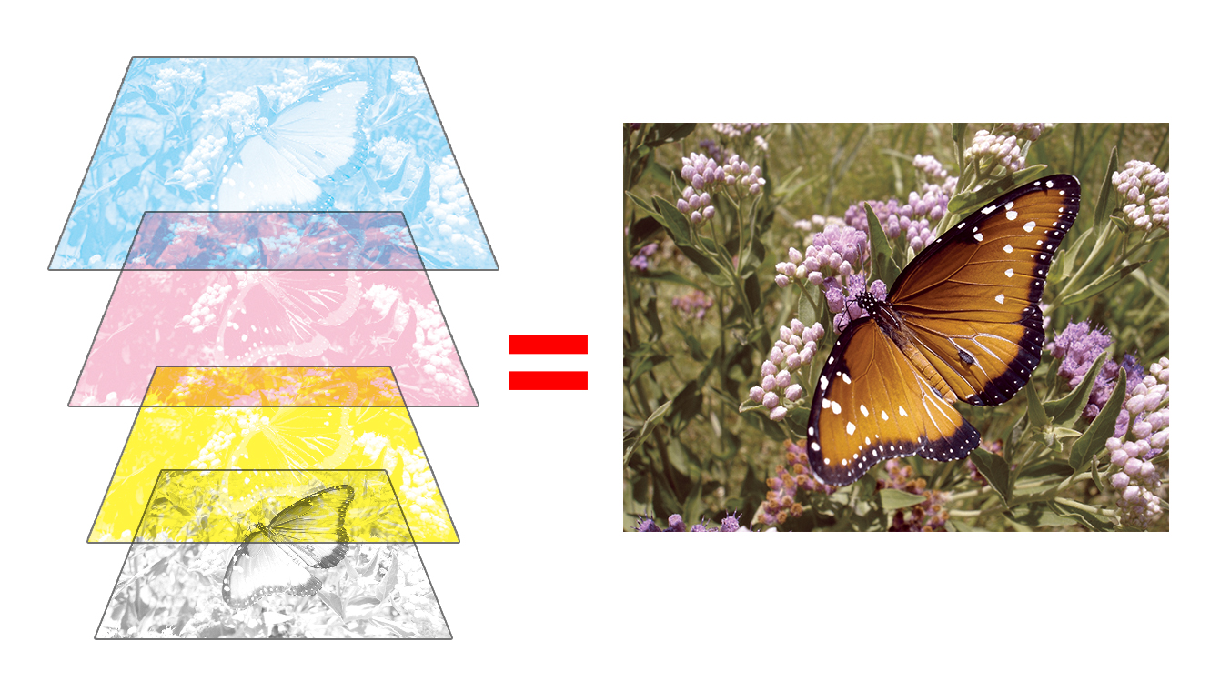 Printing: The Basics